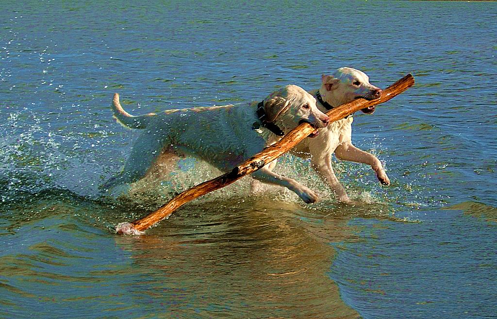 30 y 3 aprendizajes para cooperar